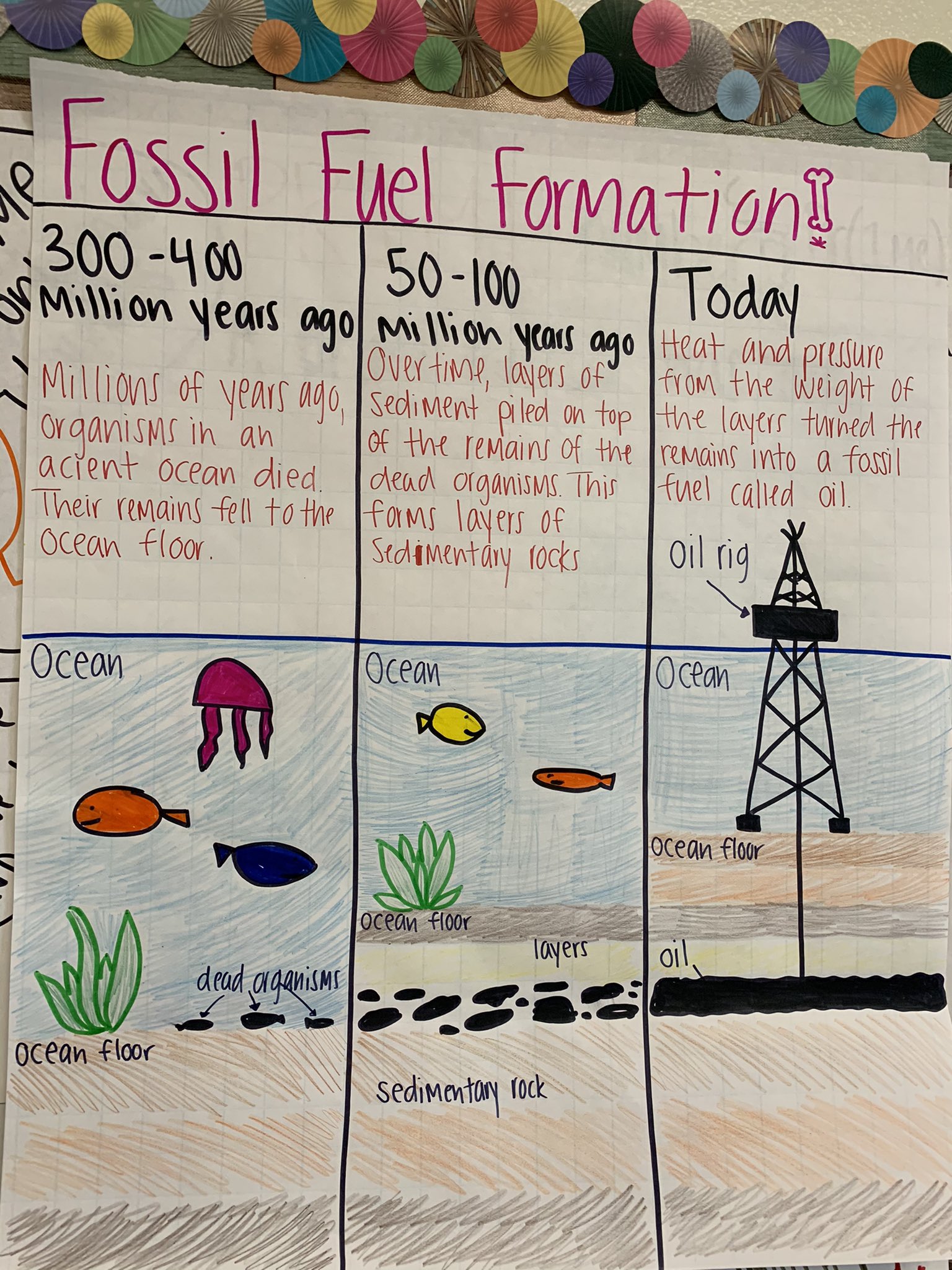 Fossil Fuels Formation