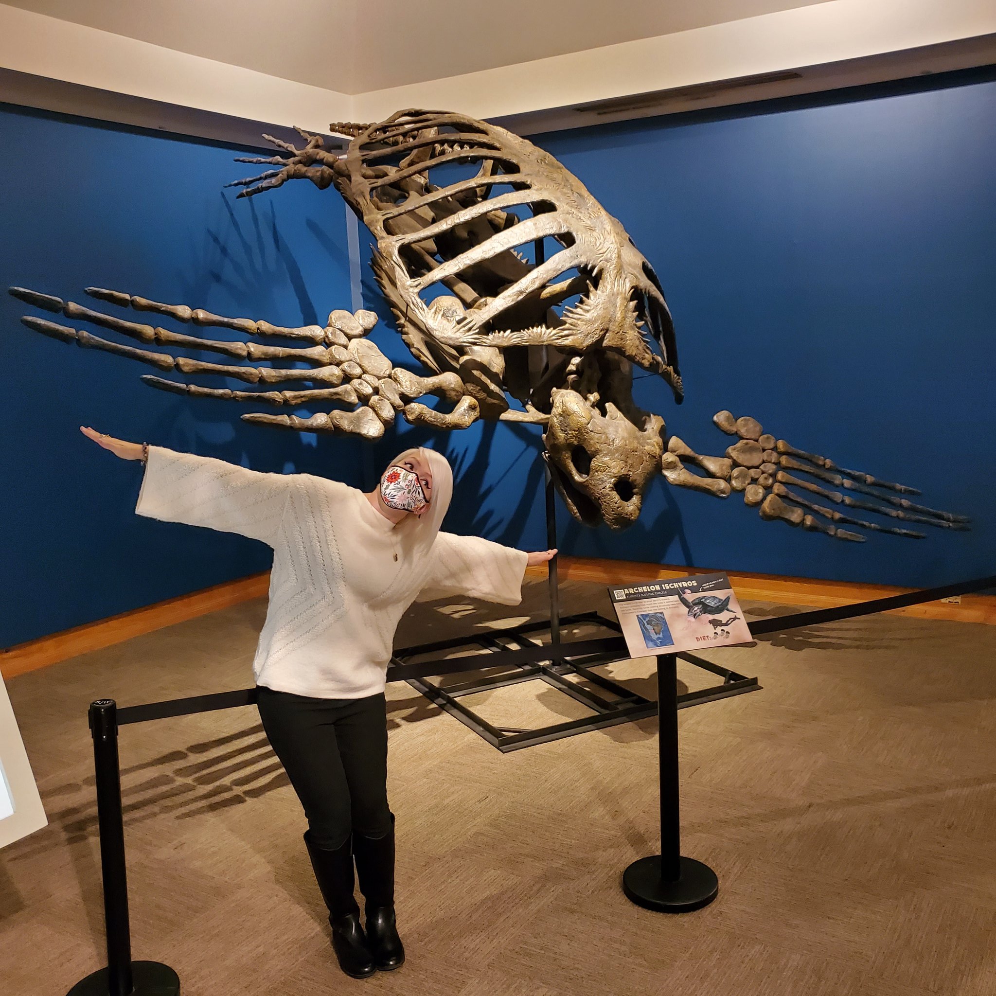 Archelon Fossil