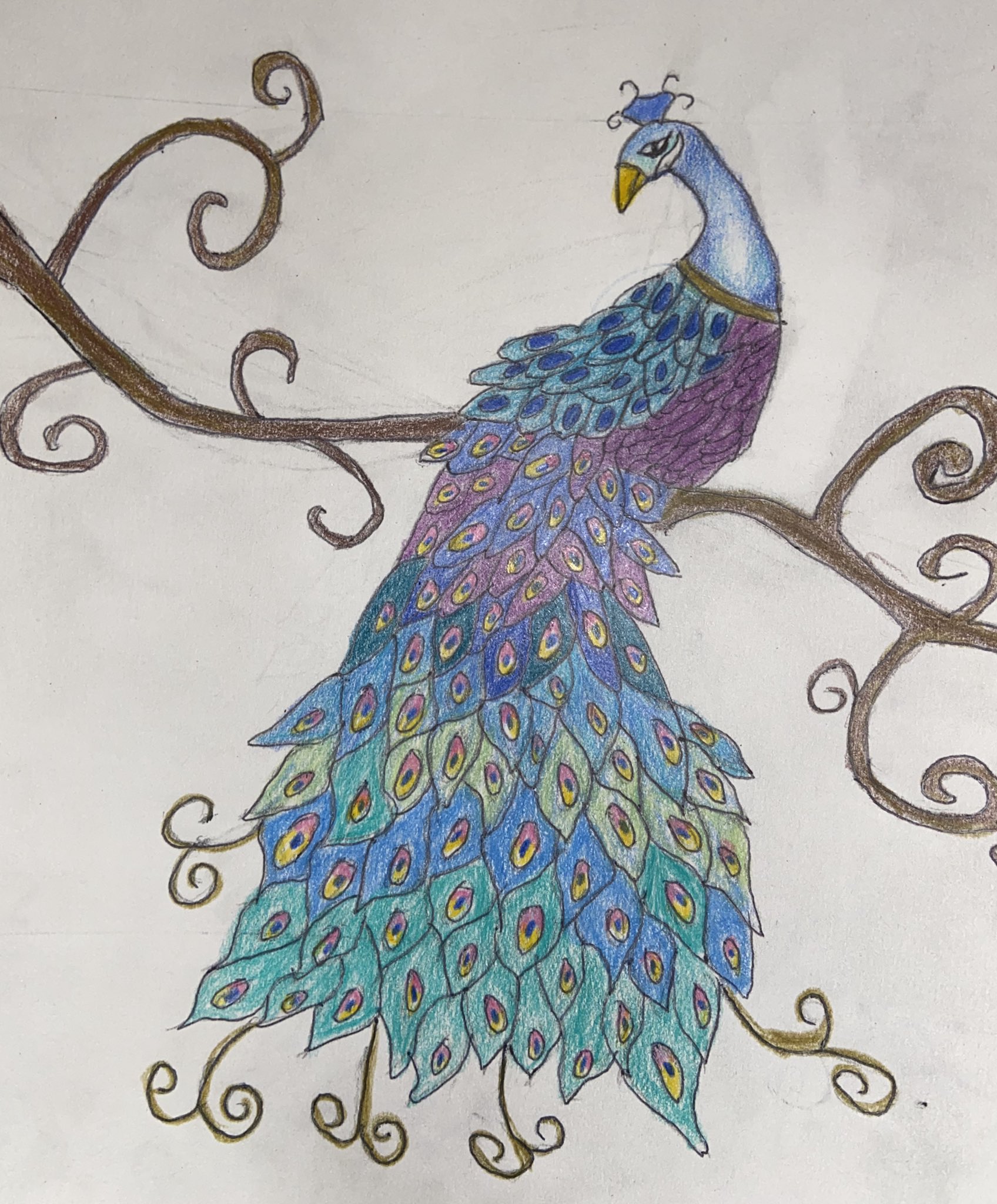 Dibujo De Pavo Real A Lápiz Póster Con La Obra «Lápiz De Pavo Real