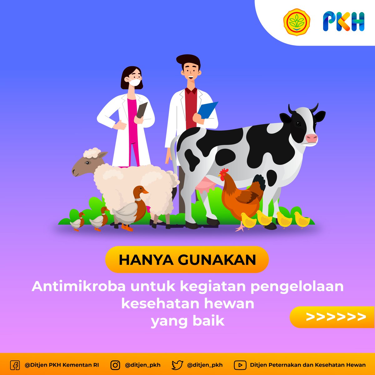 Ditjen Peternakan Dan Keswan On X: Inseminasi Buatan, 48% OFF Ditjen Peternakan Dan Keswan On X: Inseminasi Buatan, 48% OFF