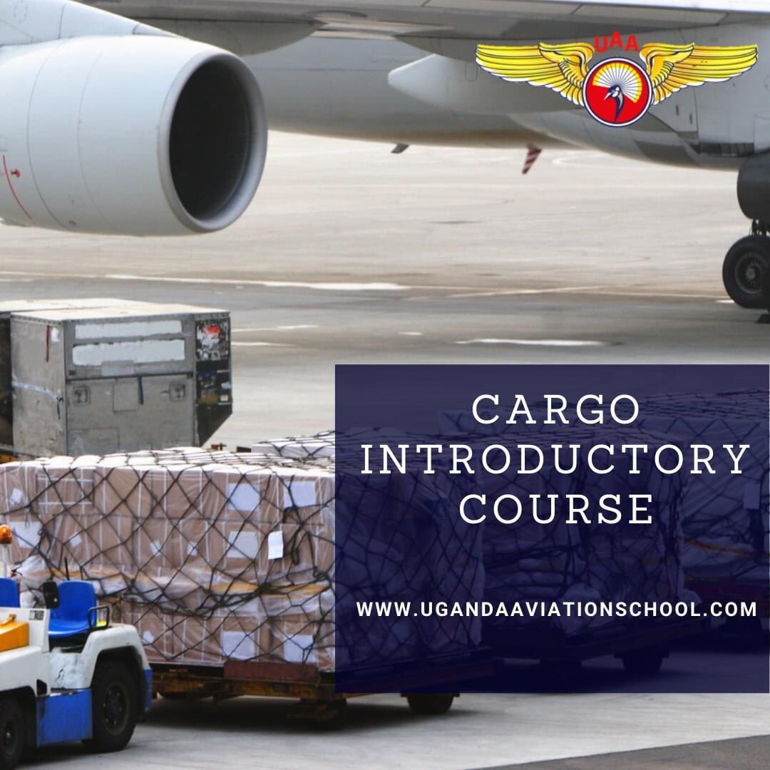 Cargo Academy Services, Abidjan (+22559820604)