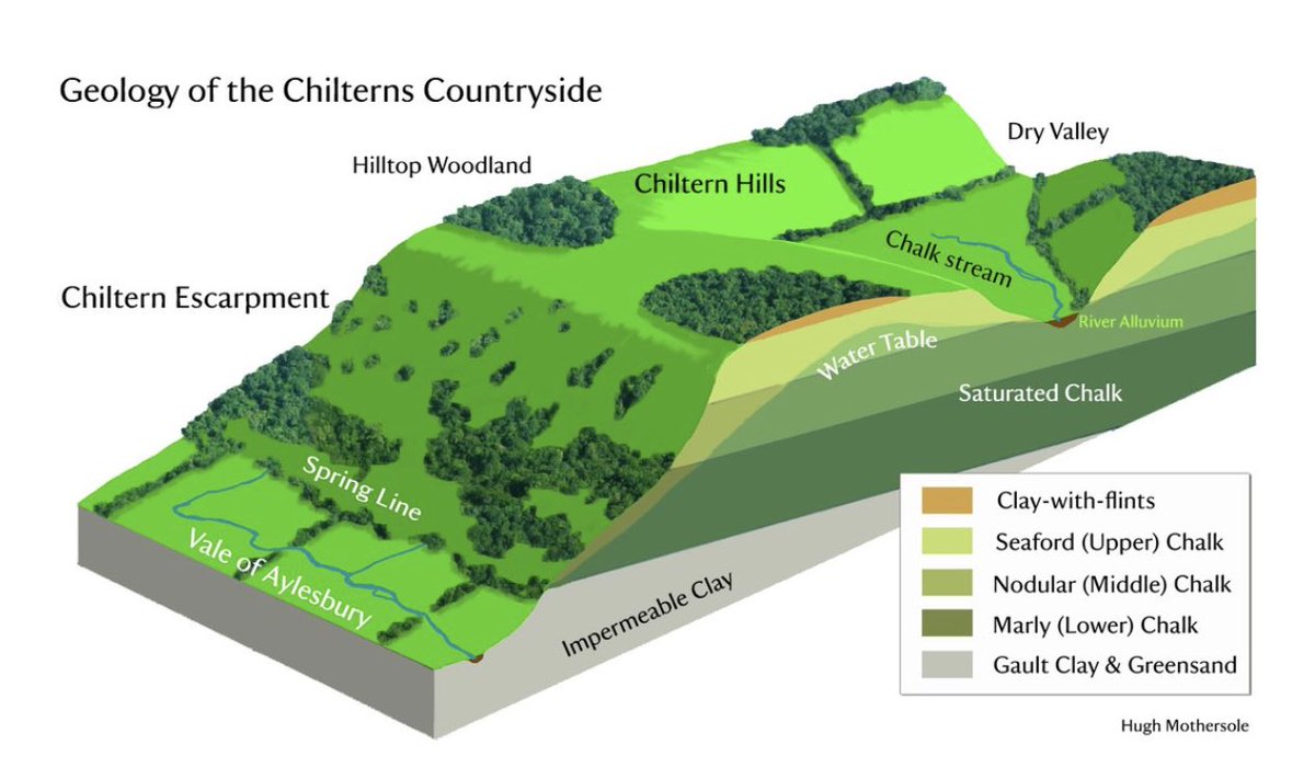 Home | Bexhill Museum