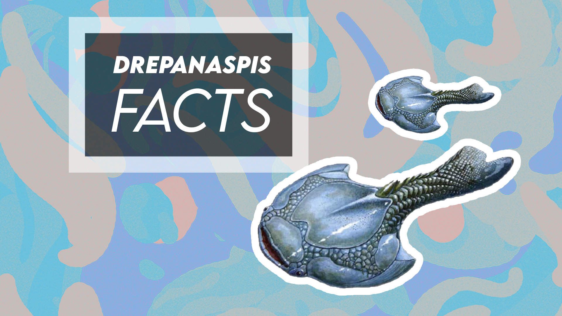 Drepanaspis