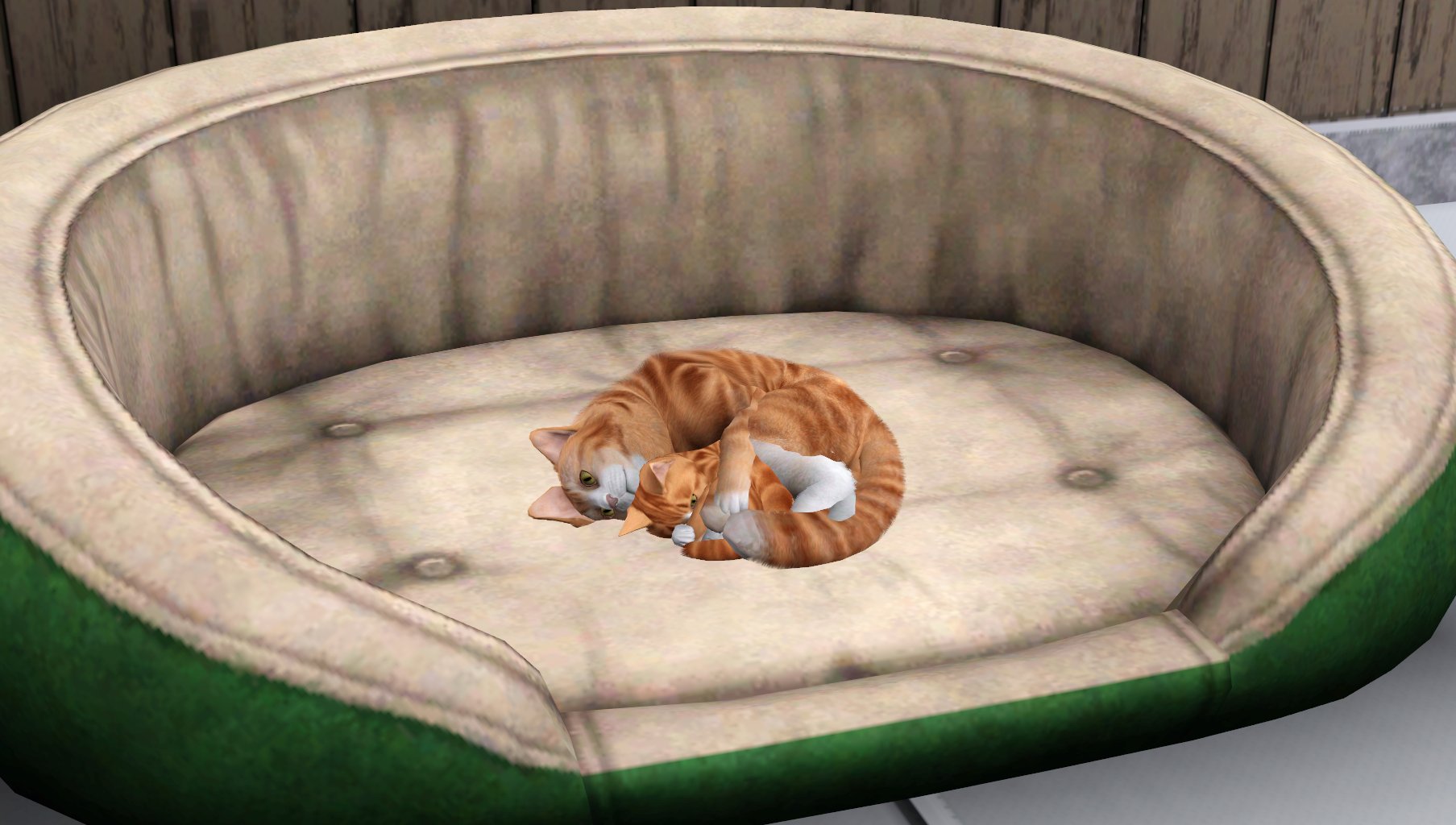 Sims 3 Pets Cats