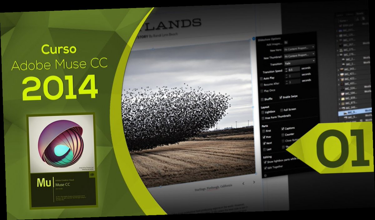 adobe muse 2014 manual pdf download / Twitter