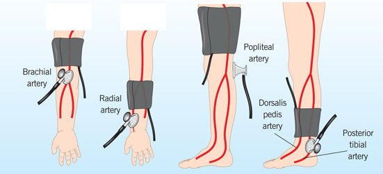 Manual Bp On Leg