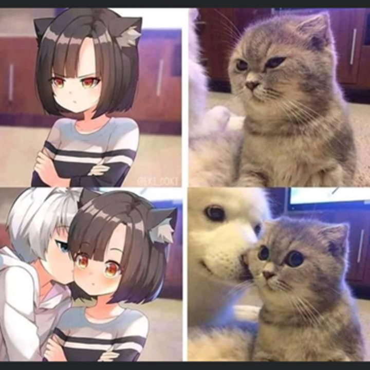 Cuteness Overload Anime Meme