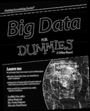 big data for dummies pdf free download / Twitter