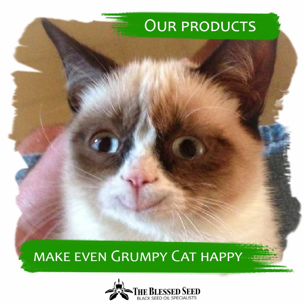 Grumpy Cat Happy Wednesday