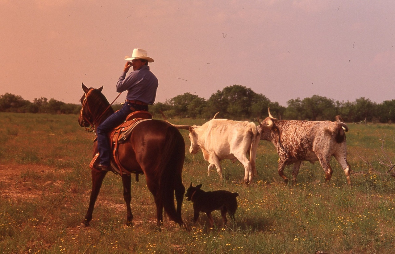 George Straits Ranch