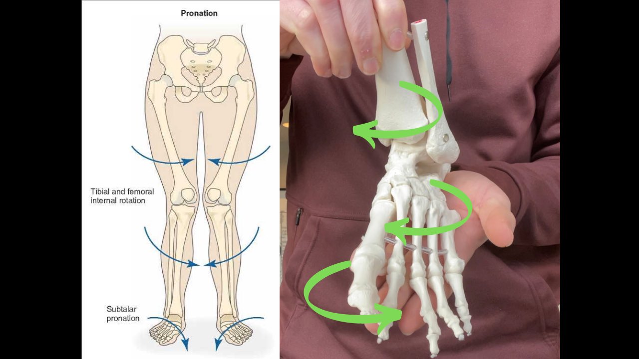 Tibial Internal Rotation