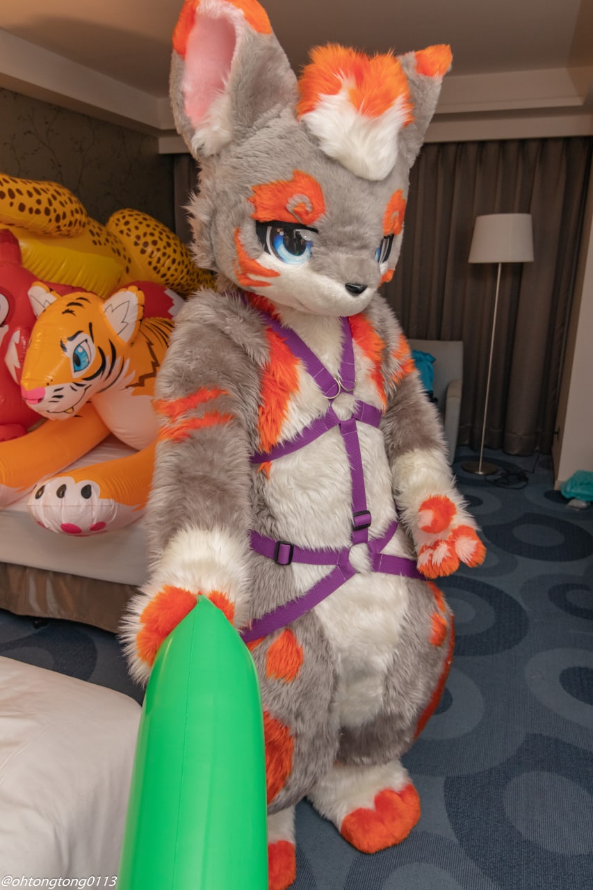 ゆうぎん/結銀 💉💉 F u r M I T 2 0 2 2 on Twitter: "#私を一泊二日で貸しますと言ったらなにをしますか 📸 : @ohtongtong0113 https ...