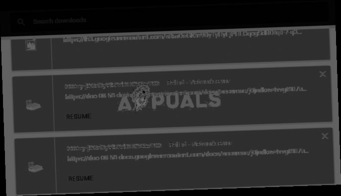 Sarah Bourque on Twitter: "https://t.co/bk29y8adEa" / Twitter