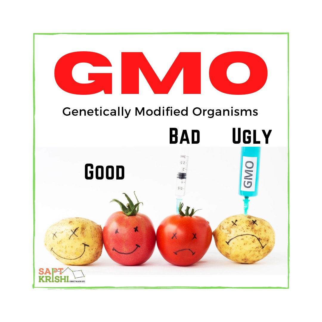Genetically Modified Food Examples Bad