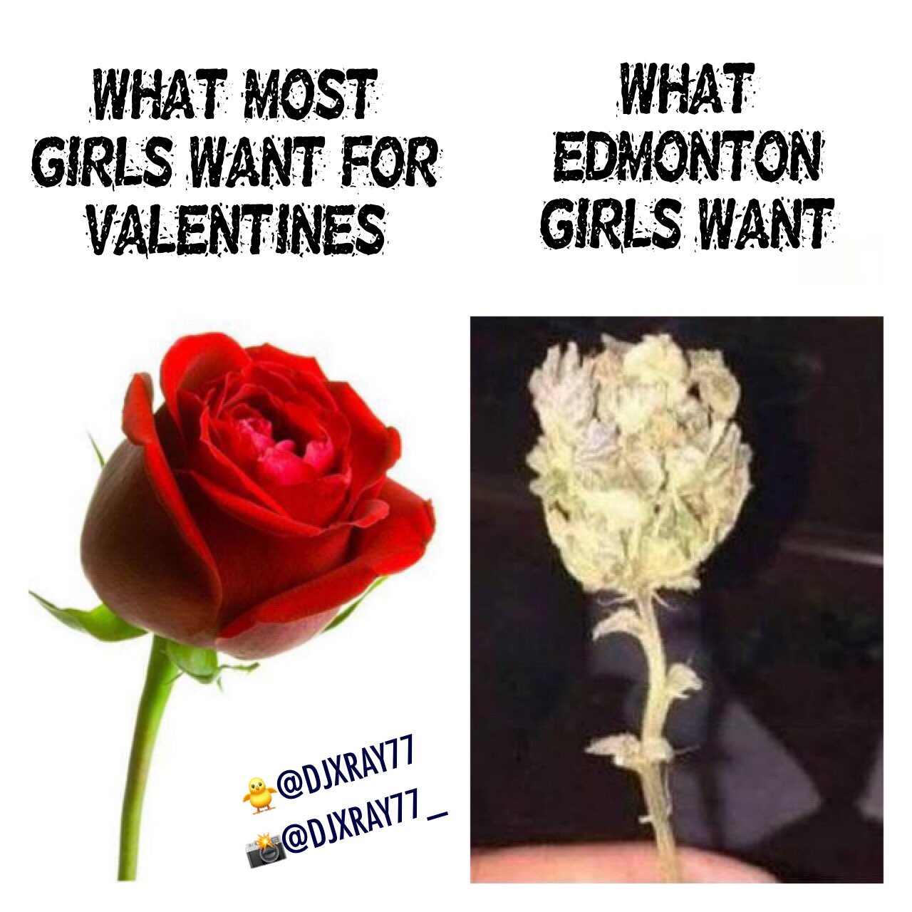Weed Florist Memes Cannabis Wikipedia