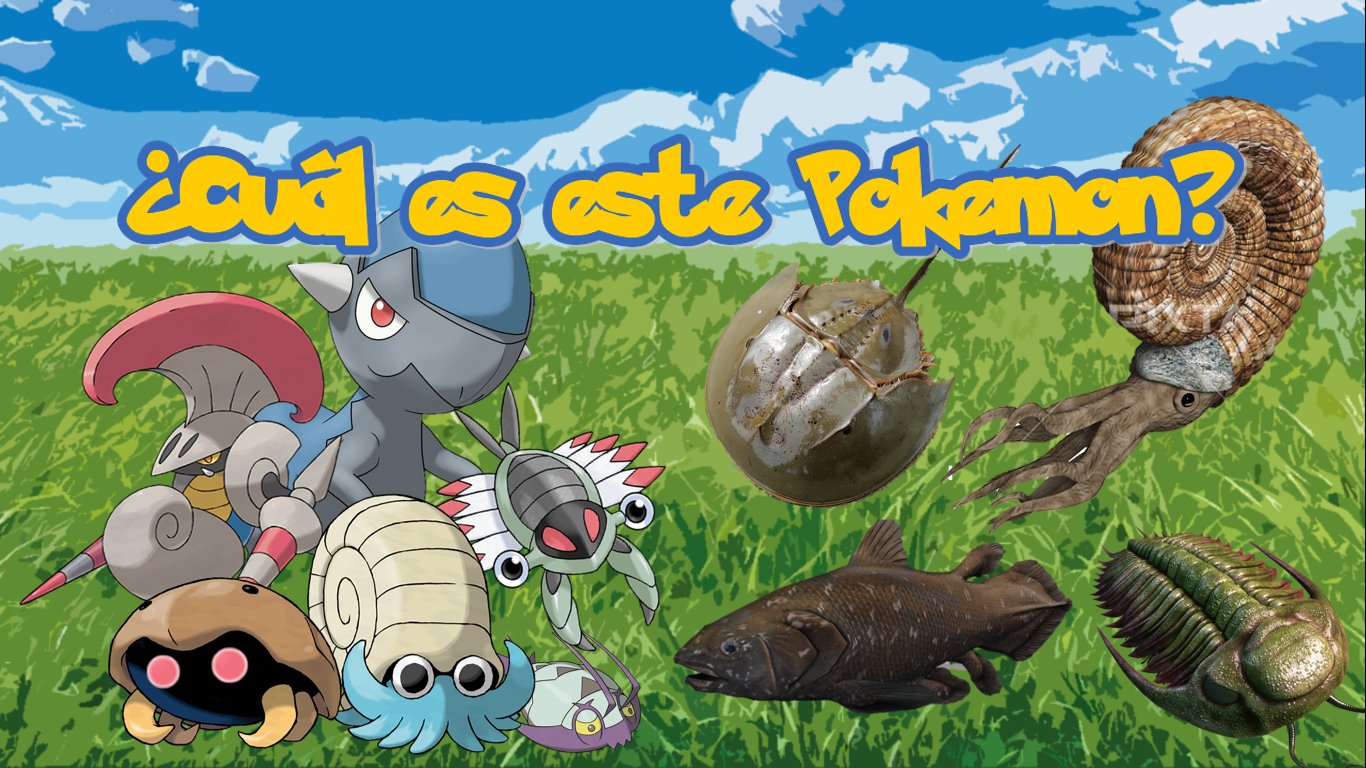 Claw Fossil Evolution