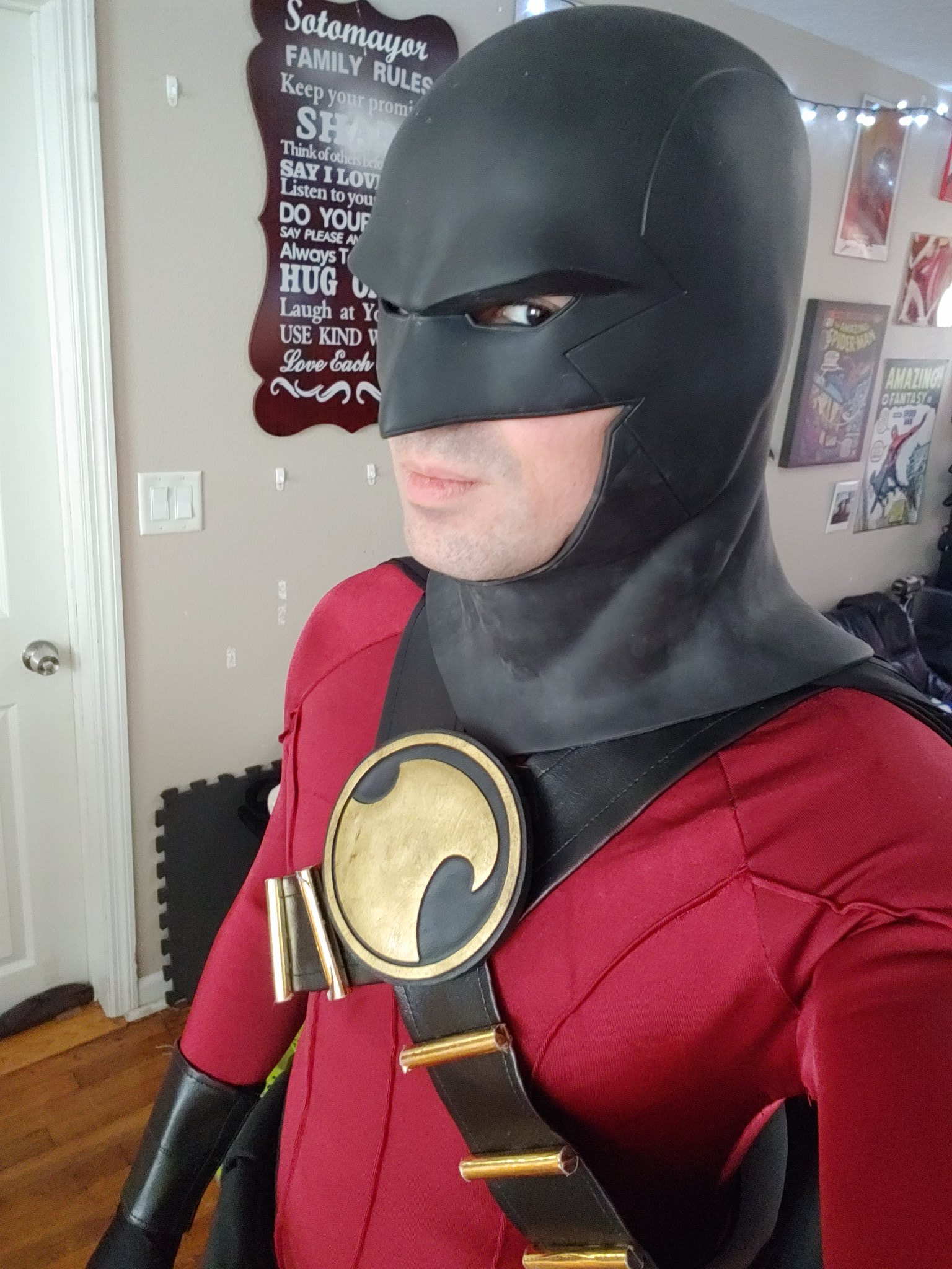 Red Robin Cowl