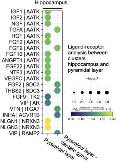 Cellphonedb Plot Generating Visualisations Of Cell Cell Interactions
