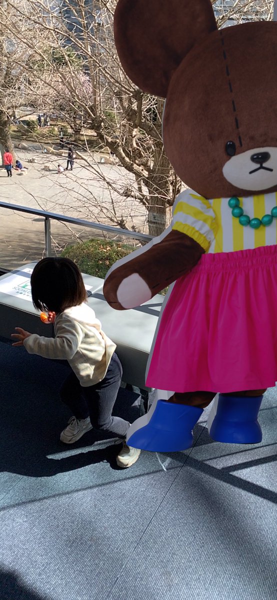 Shota Ohtsuka (@ShotaOhtsuka) | Twitter