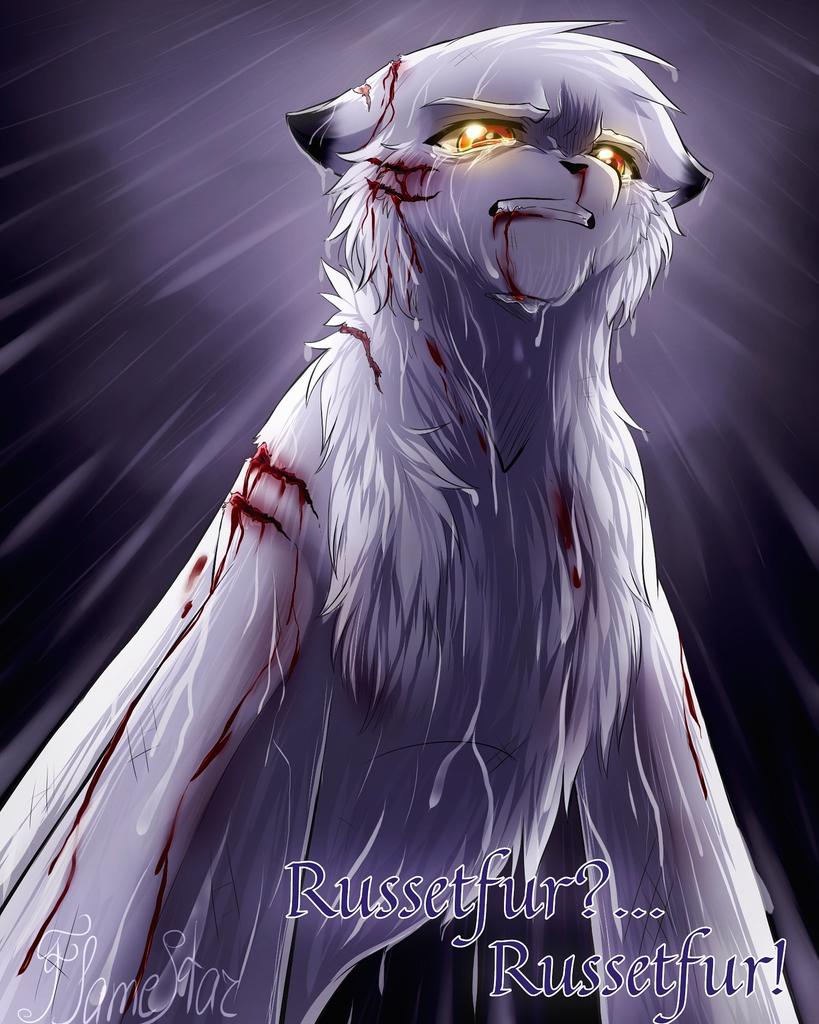 Russetfur And Blackstar