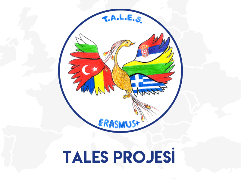 Melih BURMA (@melihburma) | Twitter