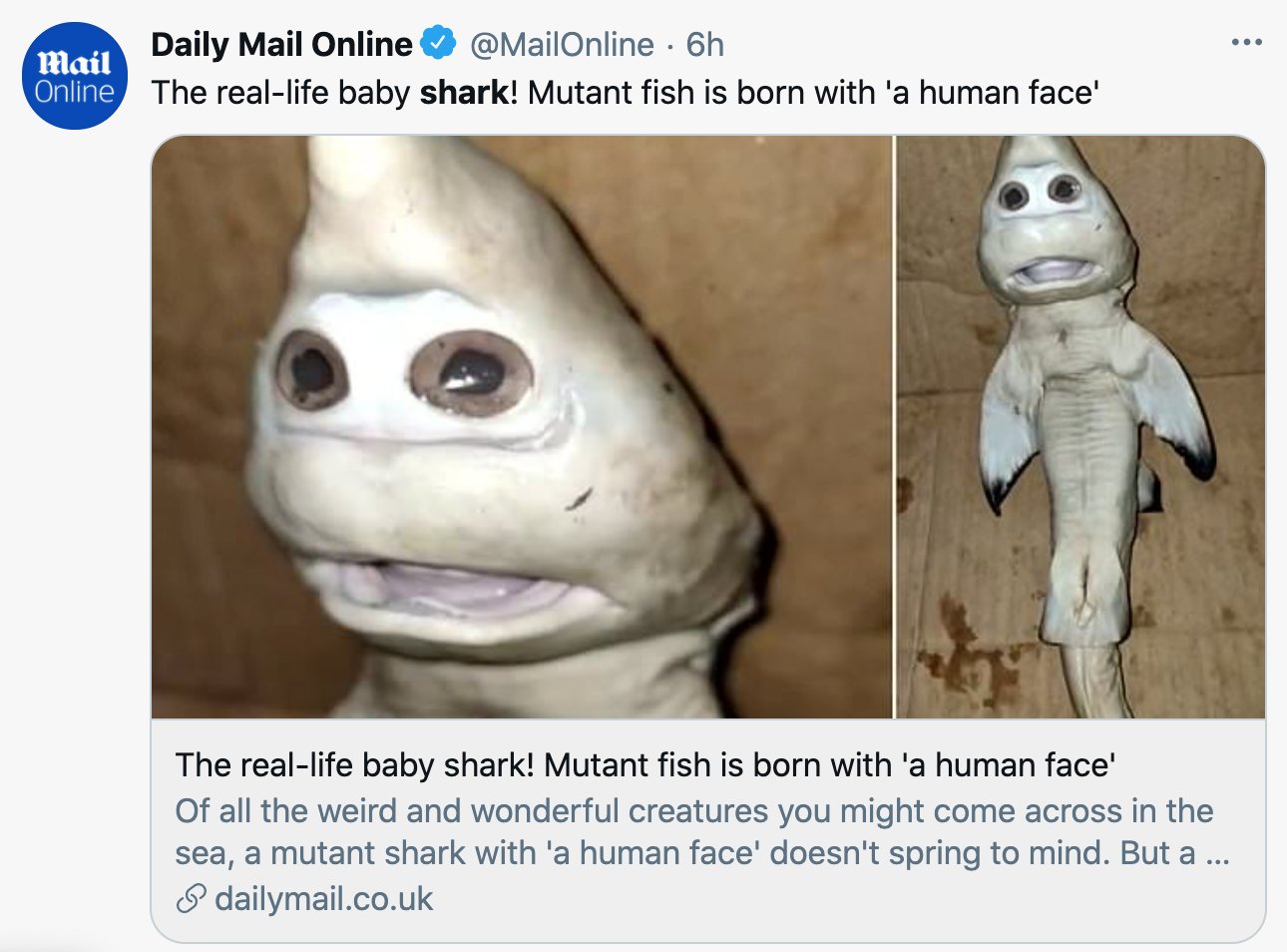 Shark With Human Face