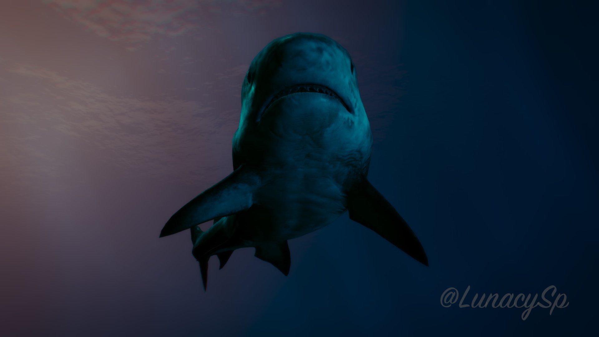 Gta 5 Sharks In The Water