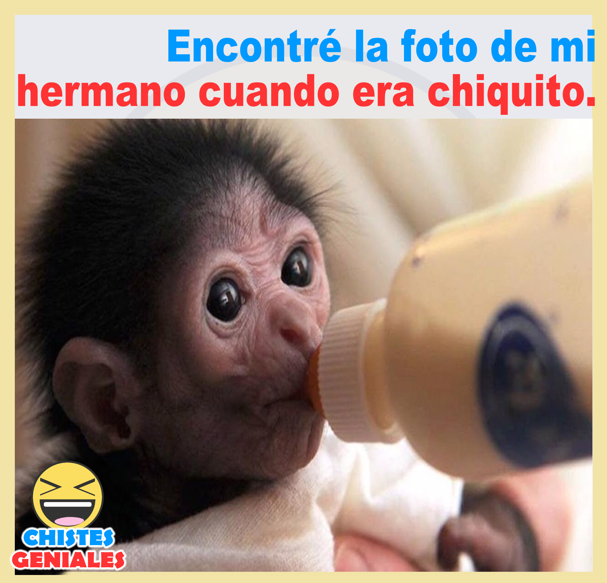 Mi Hermano Feo Memes 18 Memes Que Solo Entenderás Si Tienes Un