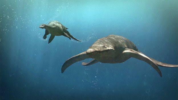 Predator X Sea Monster