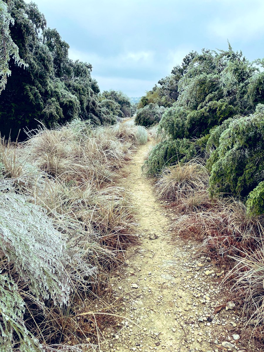 Afternoon hike through frozen hills of Austin #75hard #75hard Sujan ...