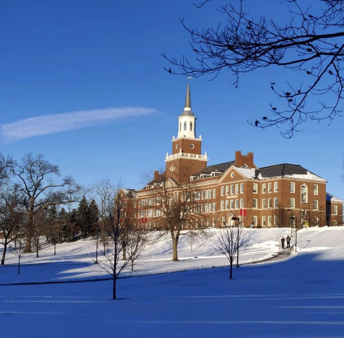 University Of Cincinnati Campus Snow