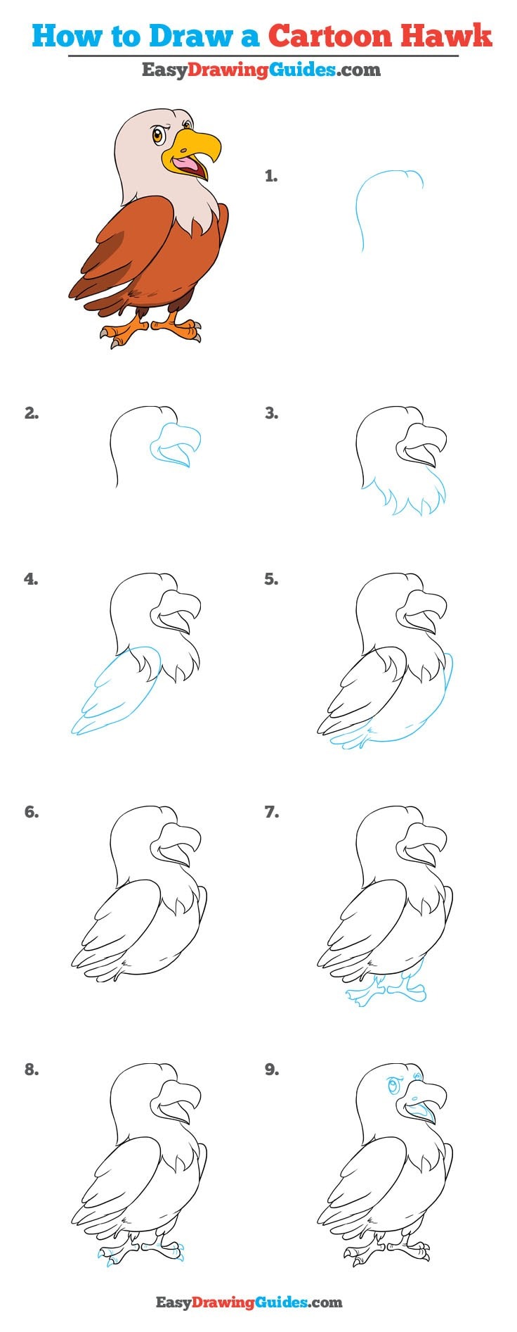 How To Draw A Simple Hawk