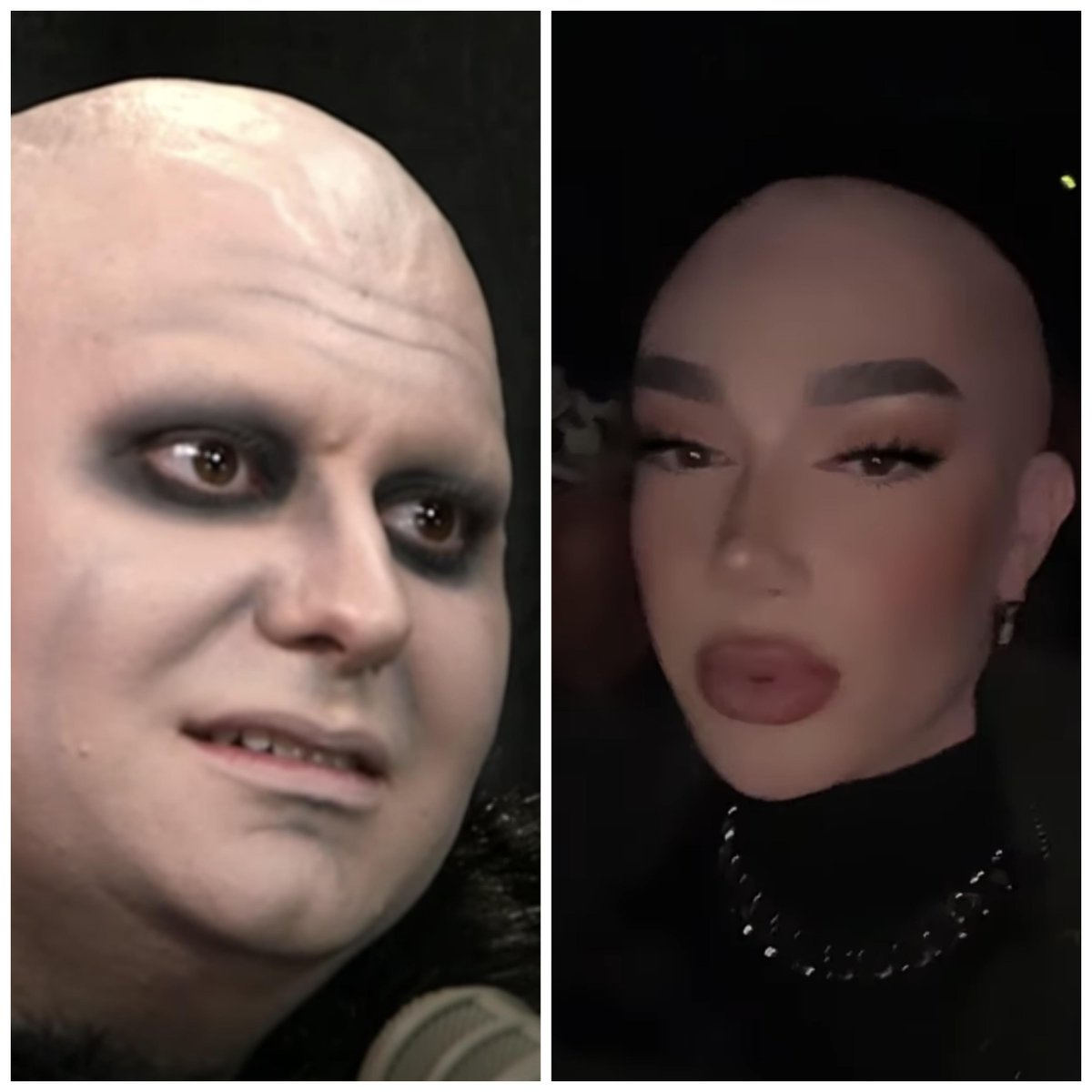 Bald James Charles Merch Bald James Charles Merch