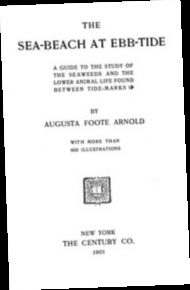 {Read/Download} The sea-beach at ebb-tide; a guide to the study of the / Twitter