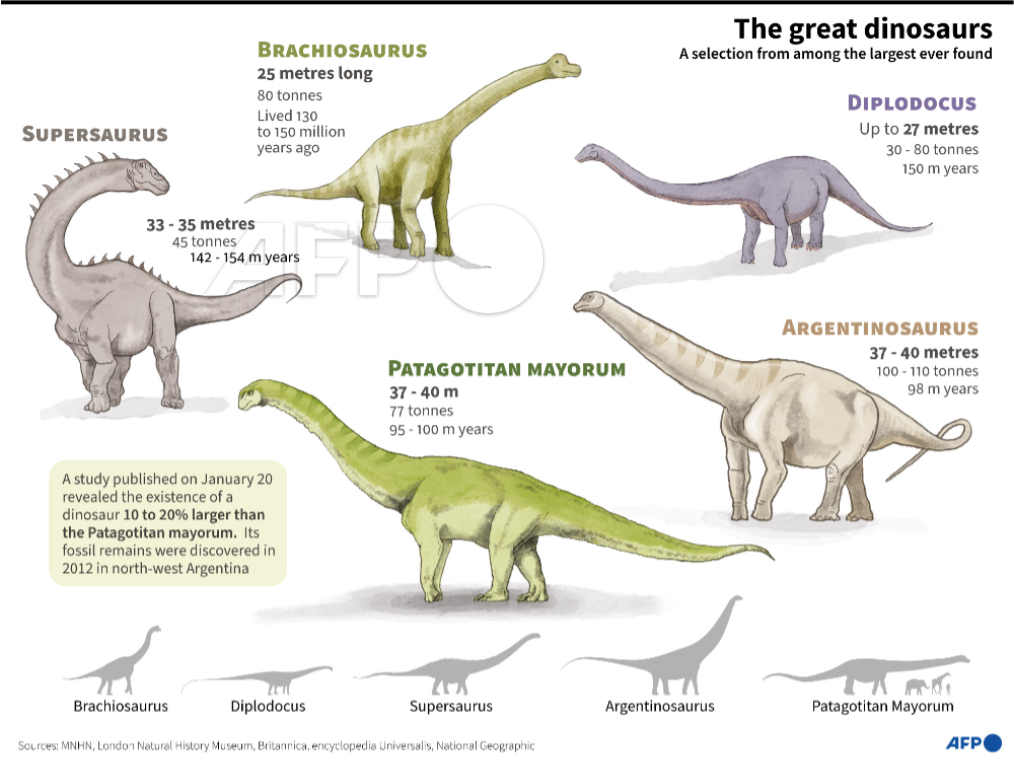 Argentinosaurus Vs Brachiosaurus