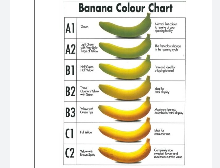 What Color Is A Ripe Banana