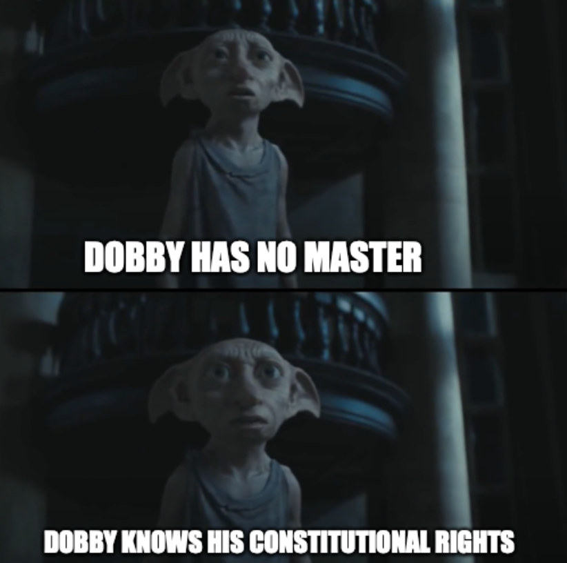 Dobby Has No Master Meme