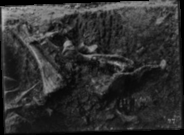 {Read/Download} Pit 9. Mastodon bones. (RLB-77) {Ebook EPUB PDF} / Twitter