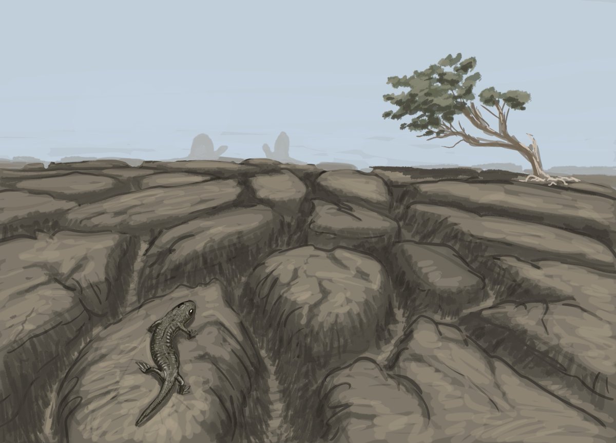 Twoucan - Joschua Knüppe (@JoschuaKnuppe)