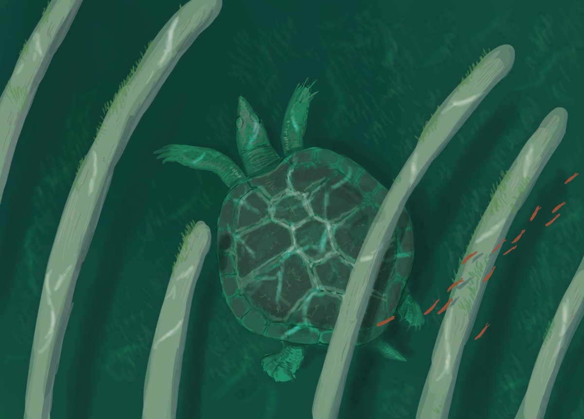 Twoucan - Joschua Knüppe (@JoschuaKnuppe)