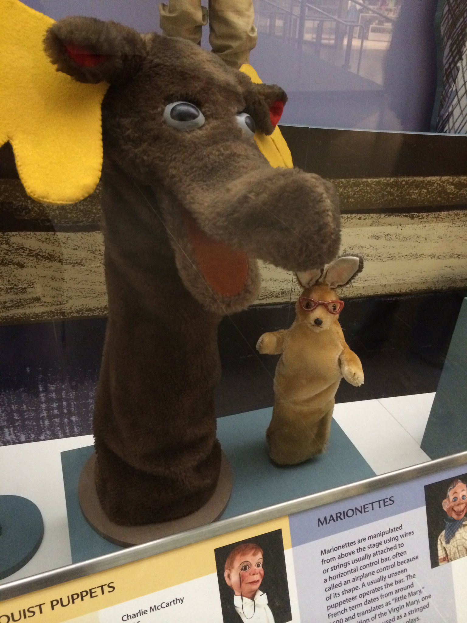 Captain Kangaroo Mr Moose