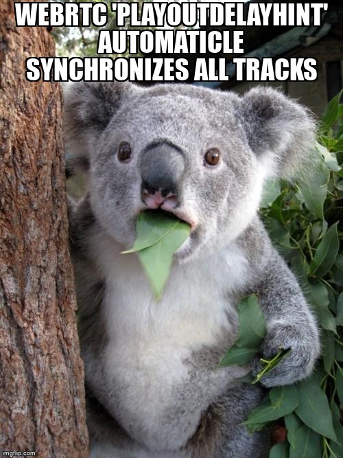 Meme Overflow On Twitter Webrtc Playoutdelayhint Automaticle