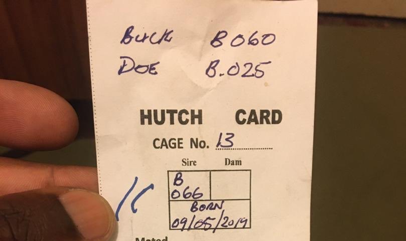 Really getting started by @mentorshipzim – Unroll Thread – We unroll ...