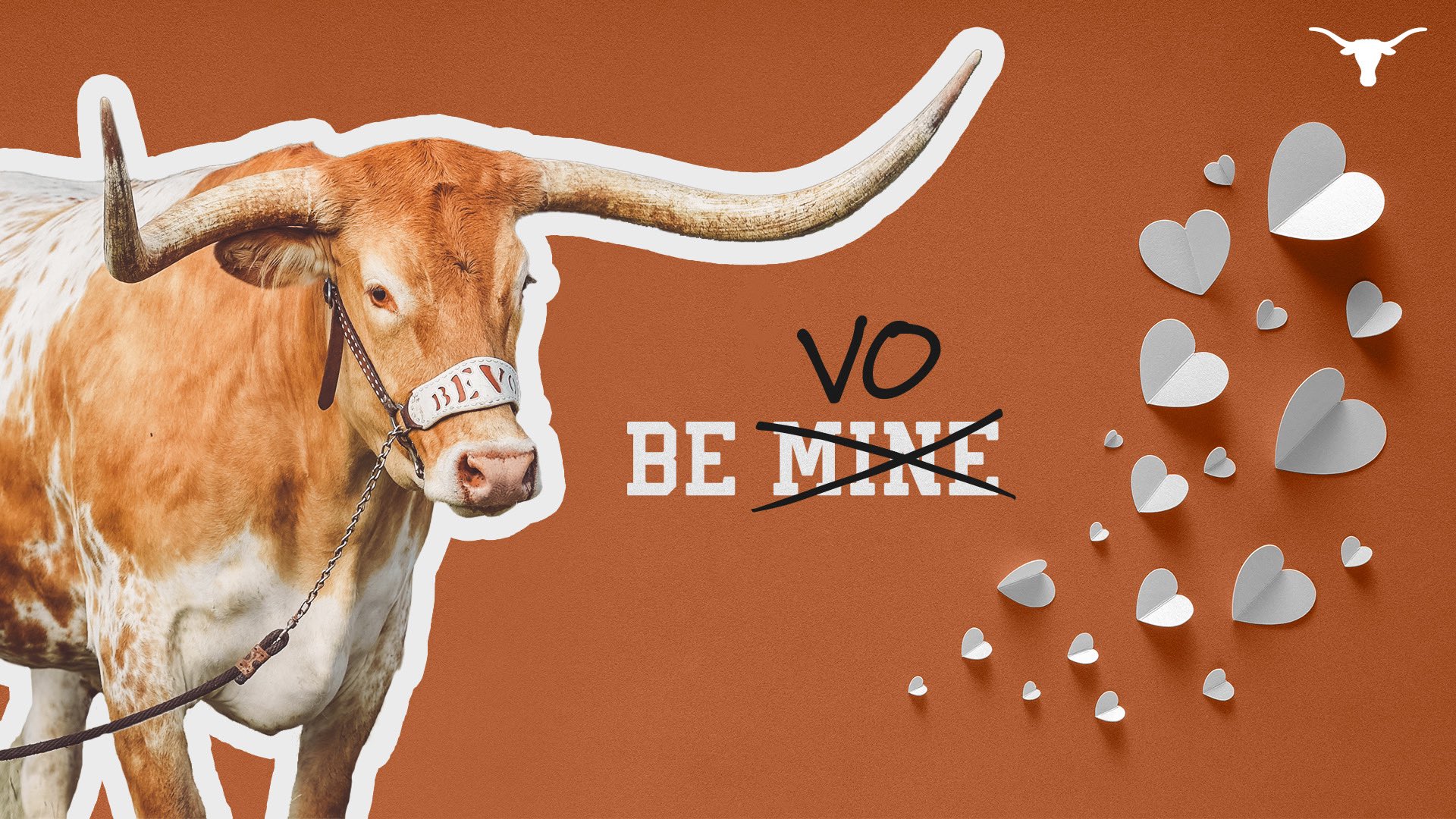 Texas Longhorns Bevo