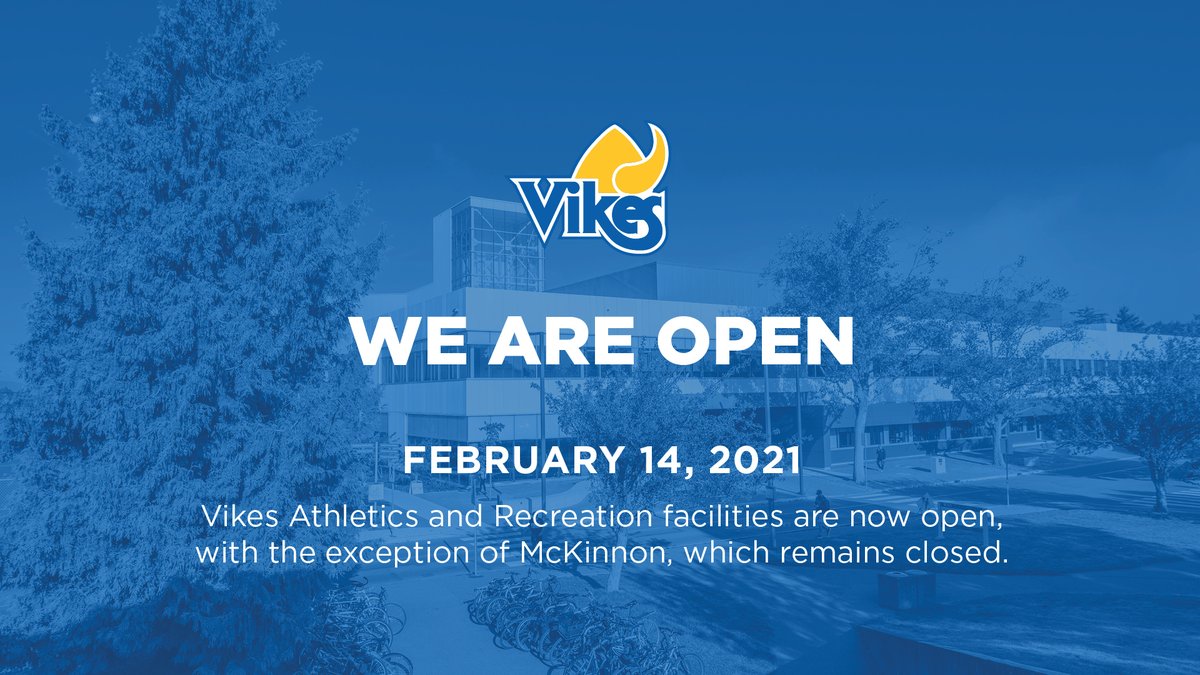 Vikes Logo VIKES HEAD TO FORD FIELD #minnesotavikings #vikingsvslions