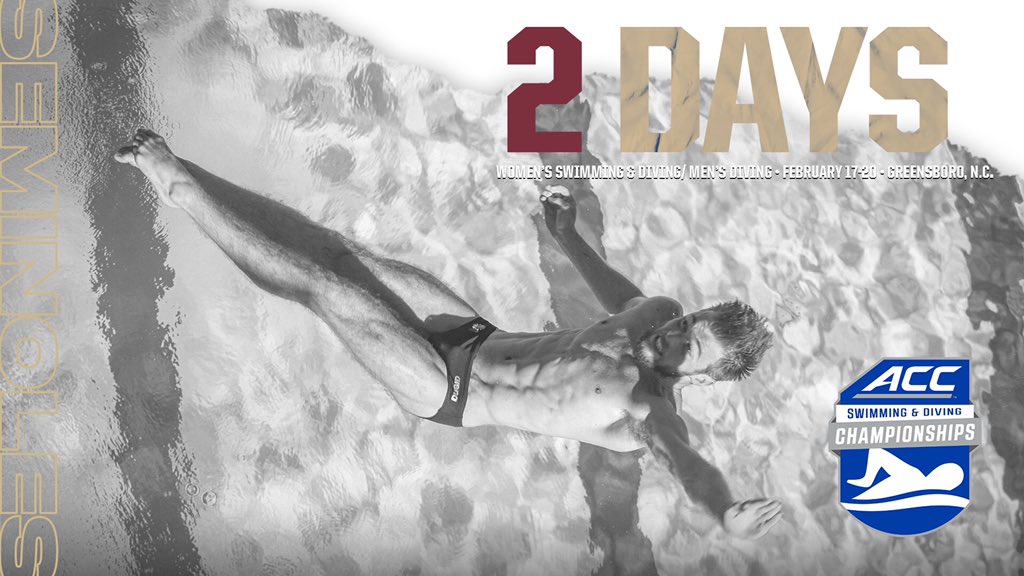 Neal Studd Swim Camp @ Florida State University - Home