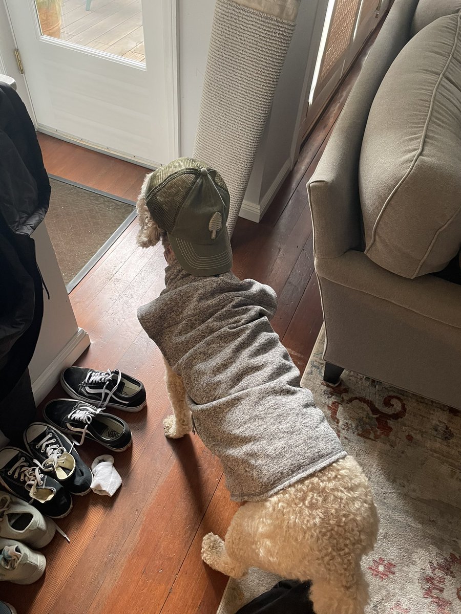 Sam Shulman (@SamShulman3) | Twitter