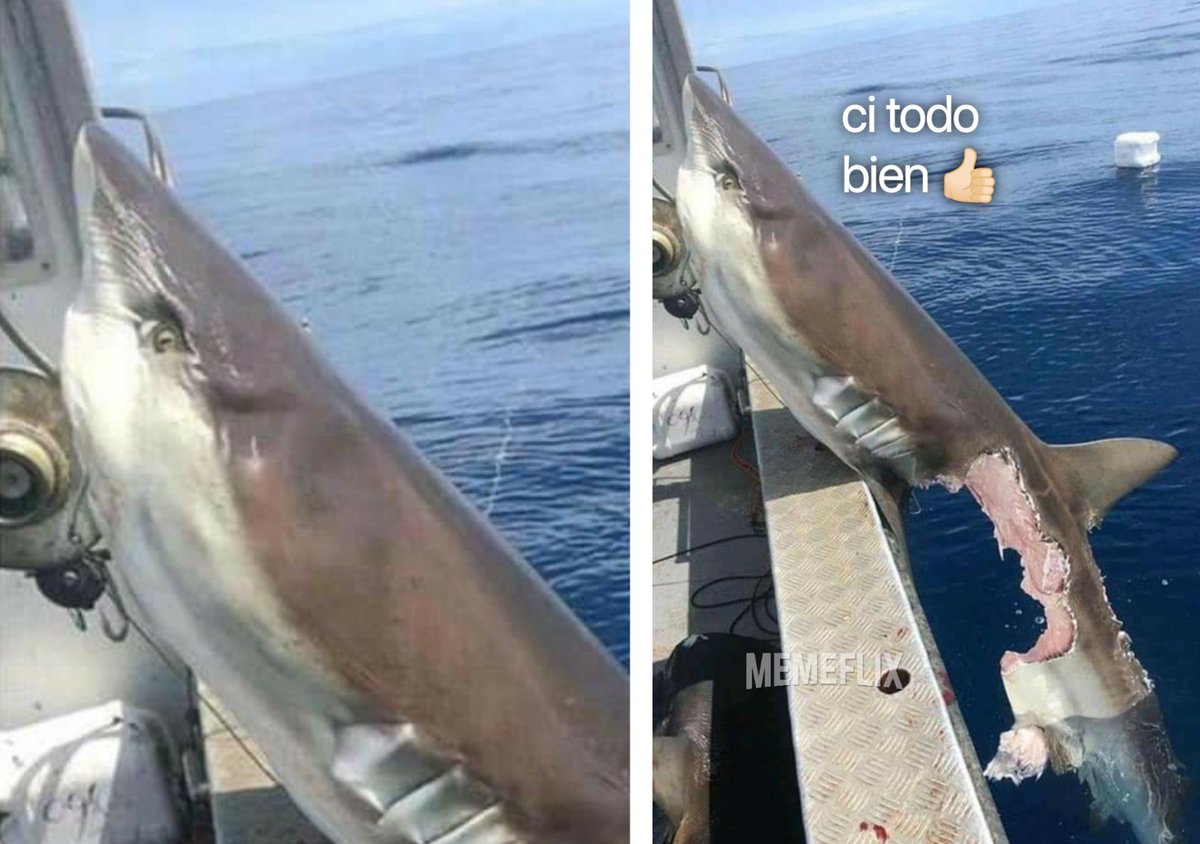 Cuando te preguntan si estás bien : r/mejico