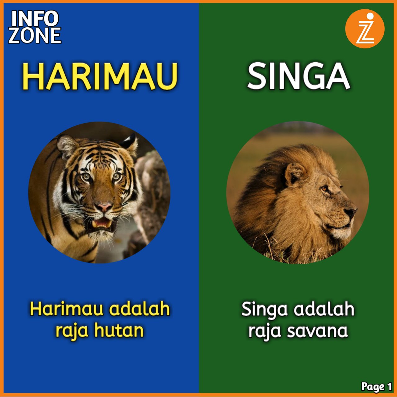 Singa Vs Harimau