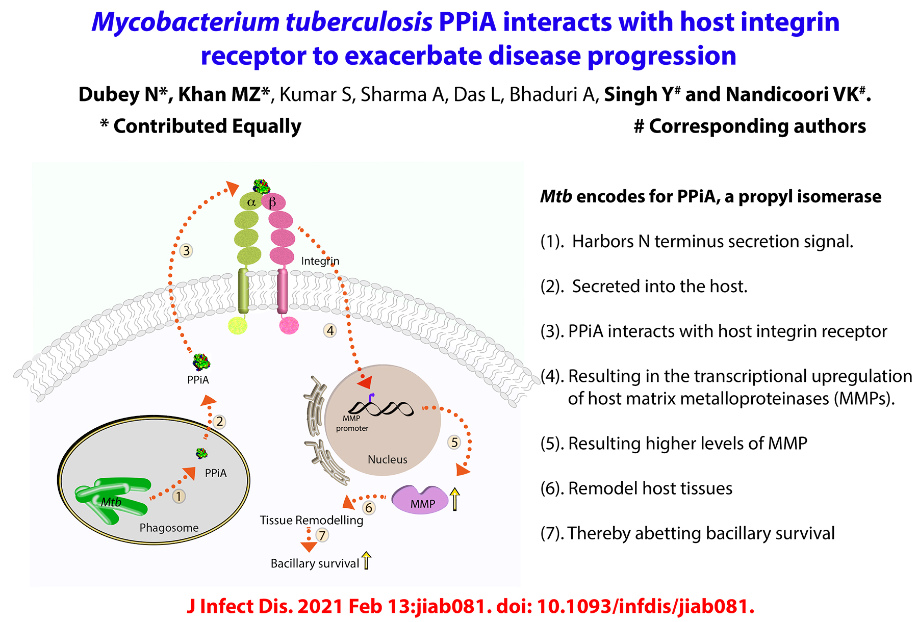 Mmptv Vk Reykjavik Scene Hi Res Stock Photography And Images Page 11